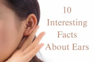 10 Interesting Facts About Ears That Will Blow Your Mind